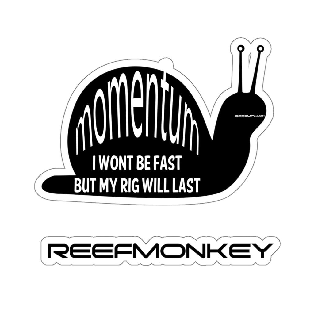 Momentum Snail Decal Sticker – Reefmonkey